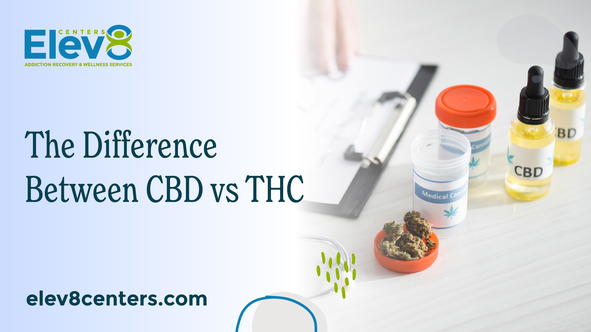 The Difference Between CBD vs THC